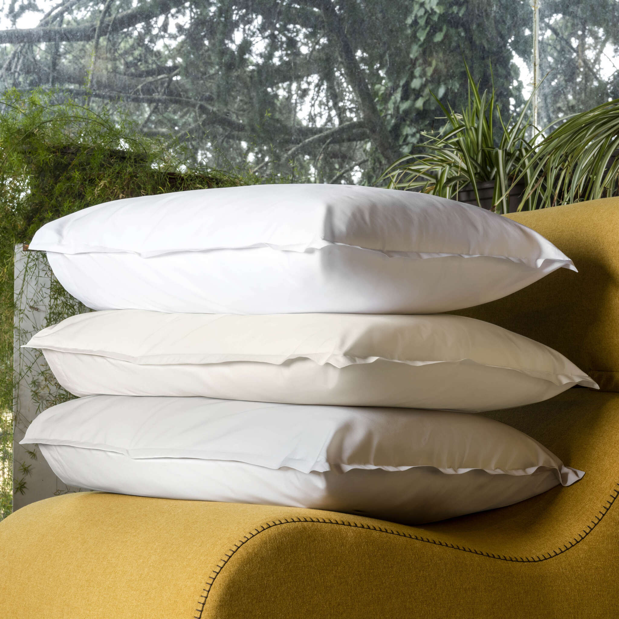 Lineare Sateen by Signoria Firenze | Fine Linens